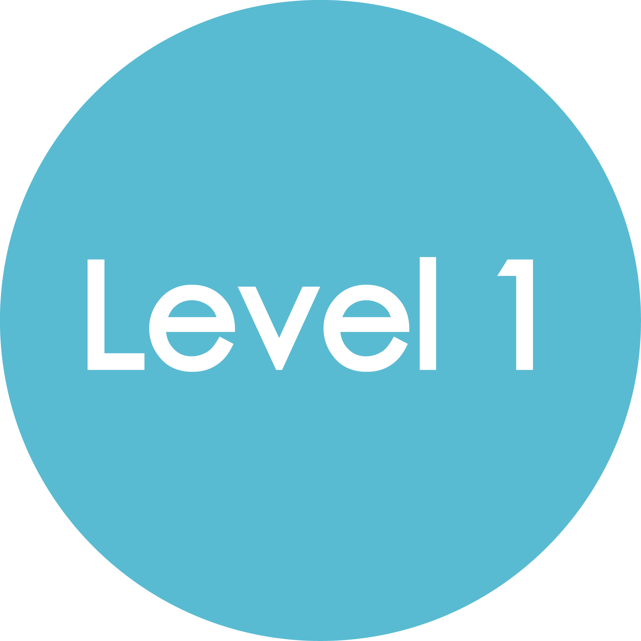 Schlyce.com | Level-1-Graphic